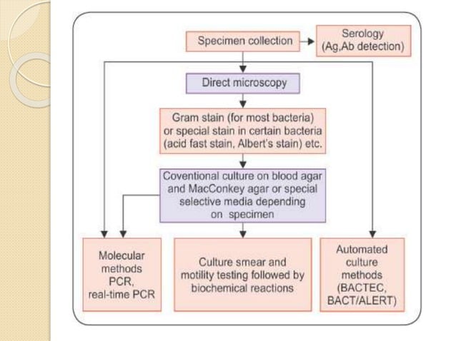 Biochemical reactions PPT.pptx