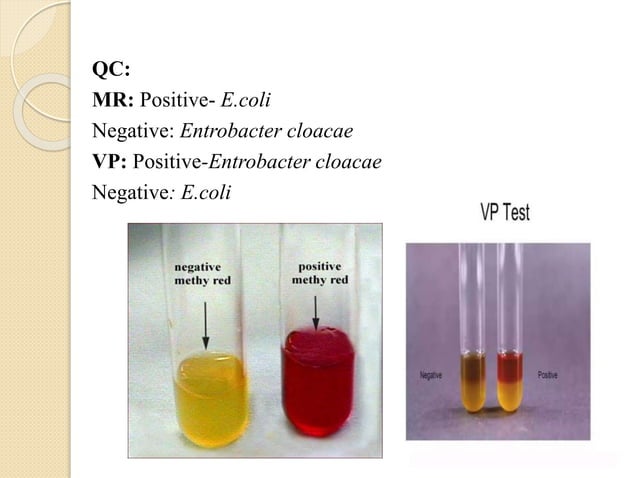 Biochemical reactions PPT.pptx