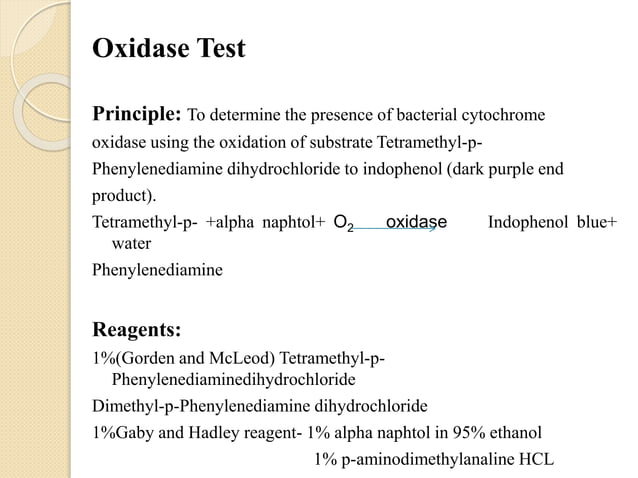 Biochemical reactions PPT.pptx