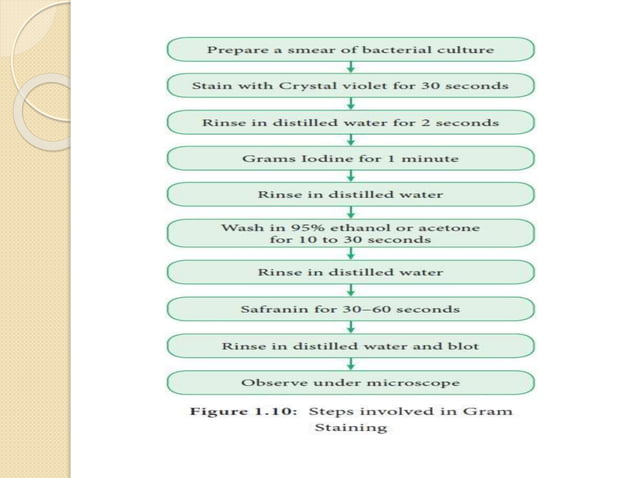 Biochemical reactions PPT.pptx