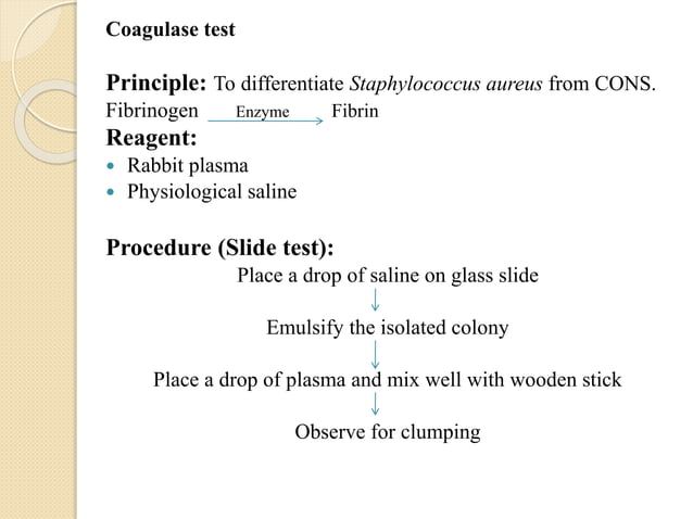 Biochemical reactions PPT.pptx