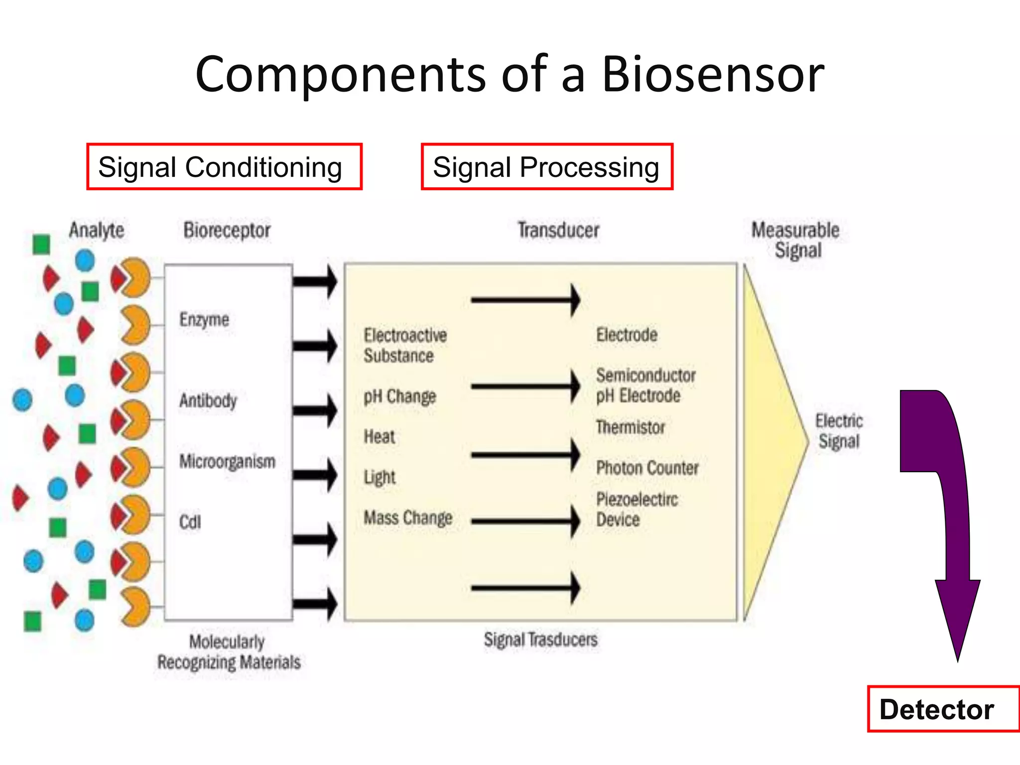 Bio chemical senors | PPTX