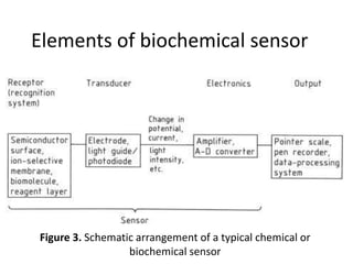 Bio chemical senors | PPTX
