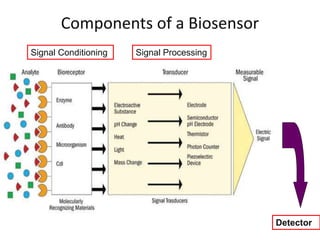 Bio chemical senors | PPTX