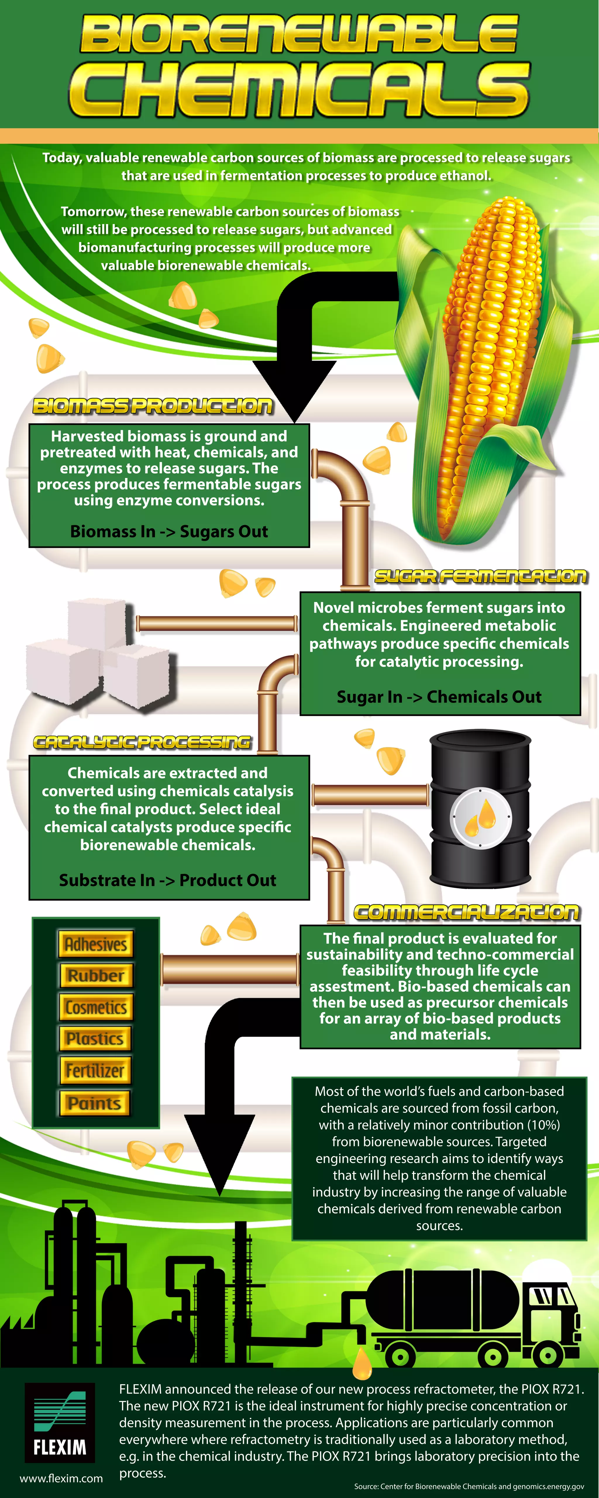 Bio Renewable Chemicals Process Infographic | PDF