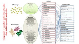 Biochemicals of algae.pdf