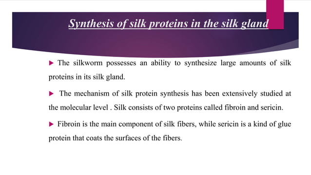 Biochemical studies on the formation of silk protein | PPTX