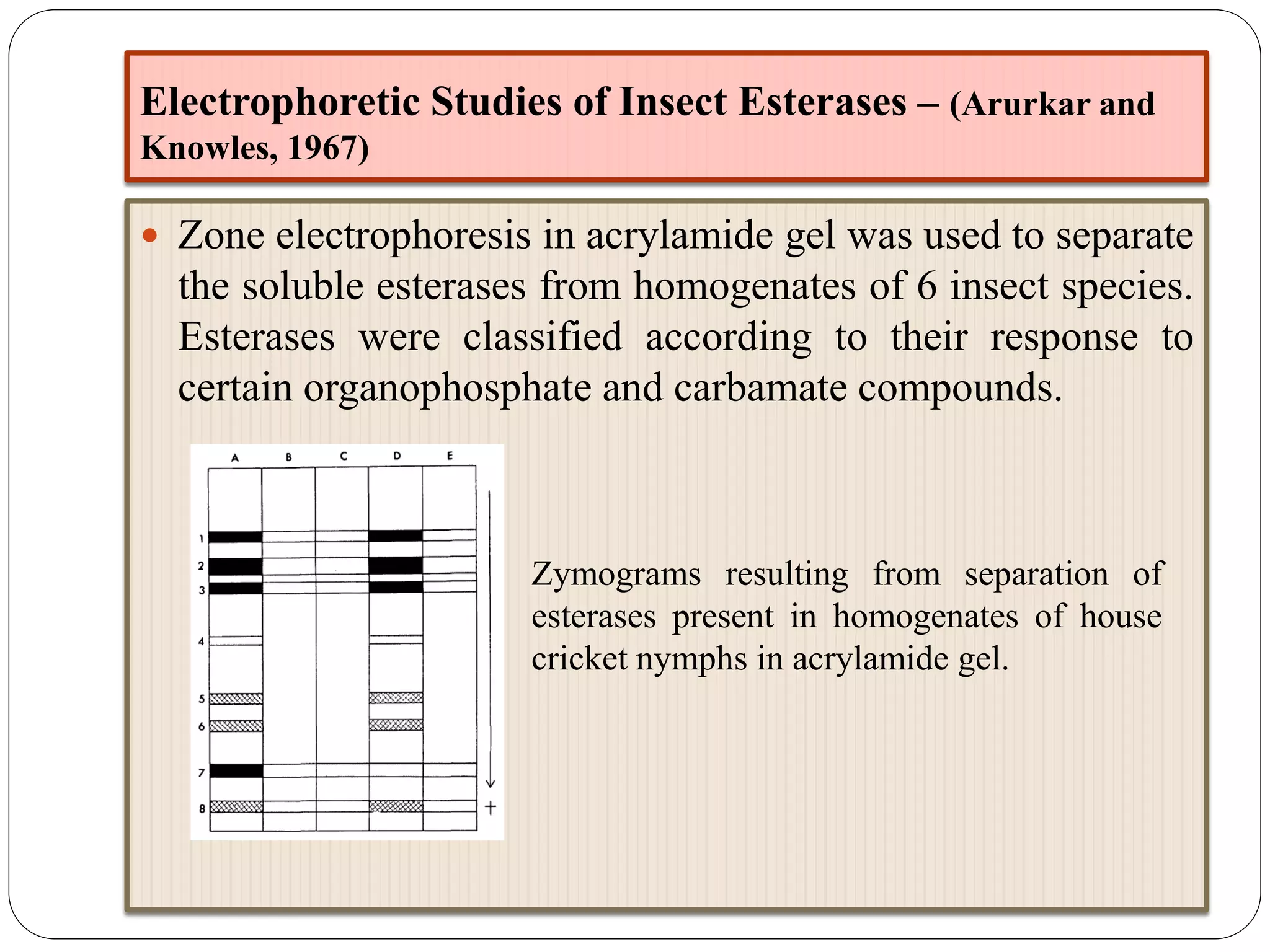 Biochemical technique in taxonomy | PDF