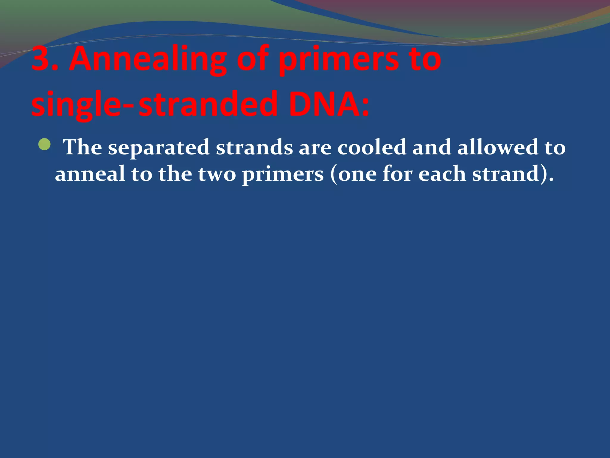 Biochemical techniques used in molecular genetics | PPT | Genetics ...