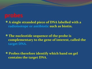 Biochemical techniques used in molecular genetics | PPT