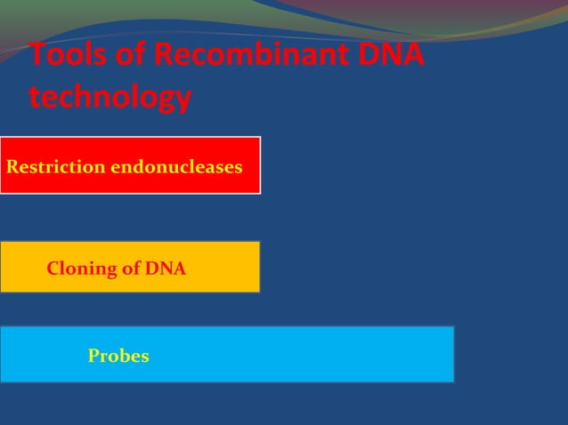 Biochemical techniques used in molecular genetics | PPT | Genetics ...