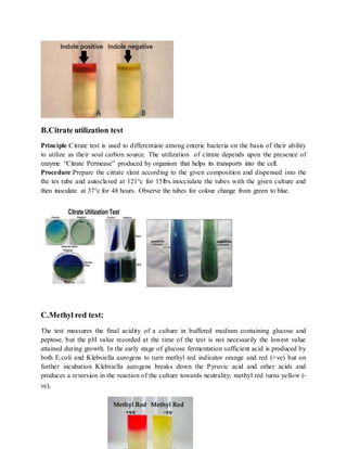 Biochemical tests and physiological tests for various groups of ...