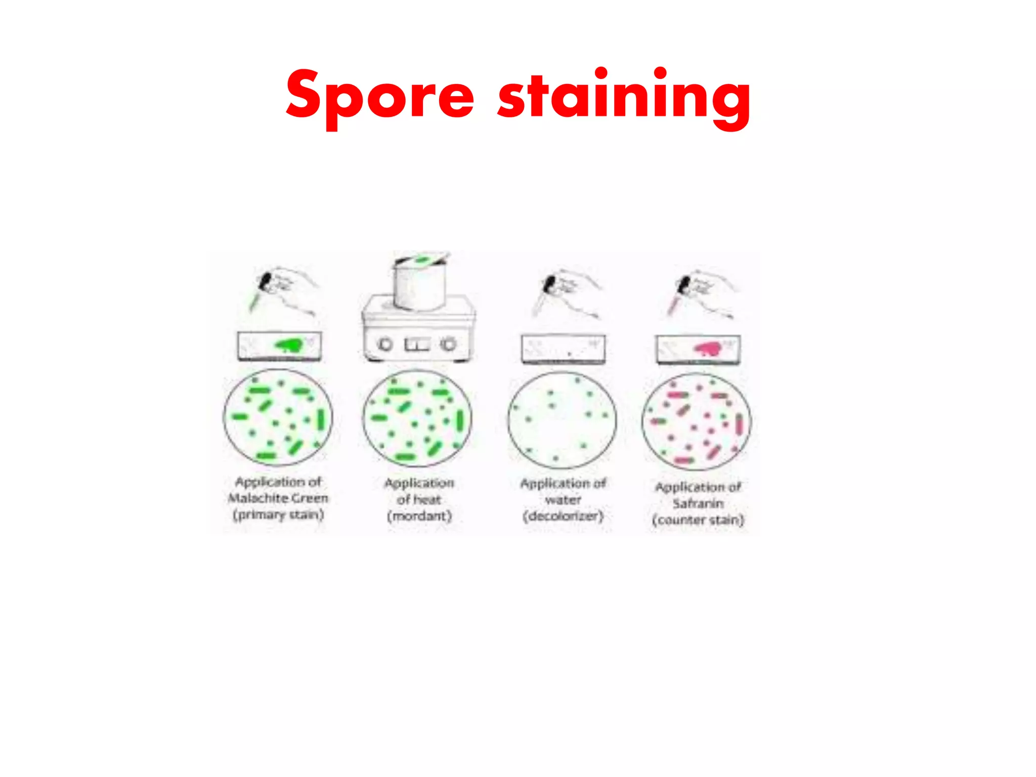 Biochemical test | PPTX