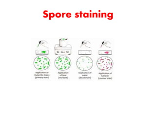 Biochemical test | PPTX