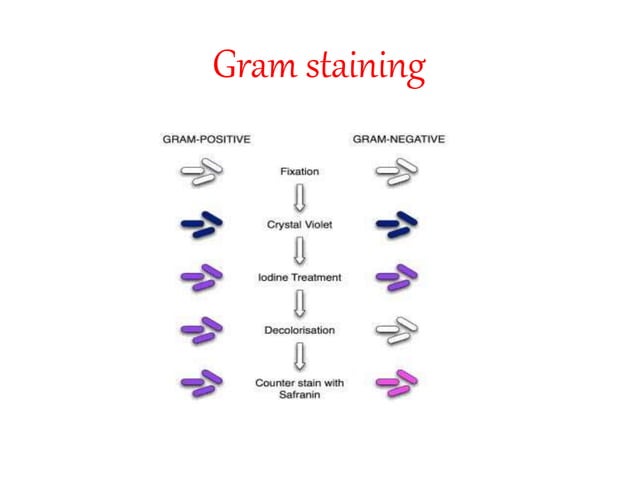 Biochemical test | PPTX