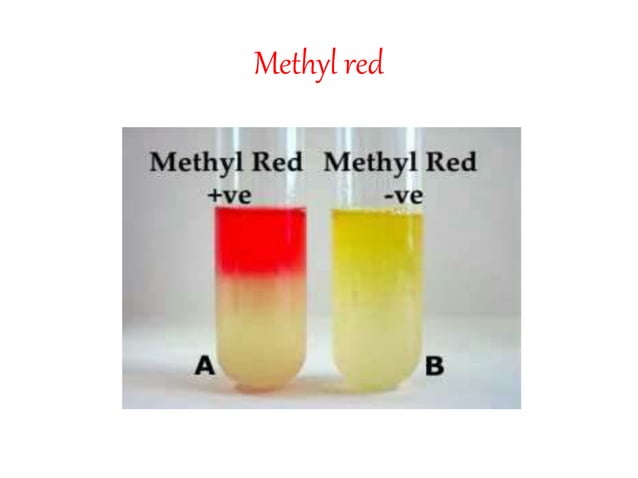 Biochemical test | PPTX