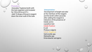 Biochemical test | PDF | Chemistry | Science