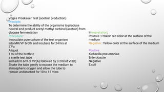 Biochemical test | PDF | Chemistry | Science