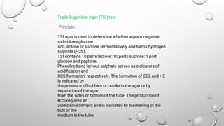 Biochemical test | PDF
