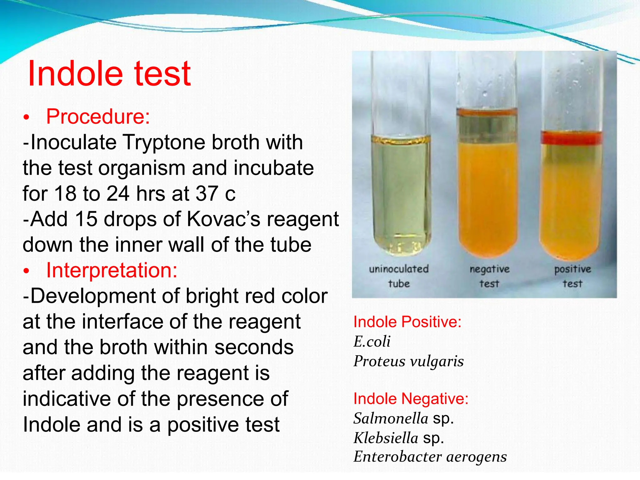 biochemical test .pdf for testing diffrent property | PPT