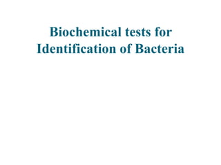 biochemical test .pdf for testing diffrent property | PPT