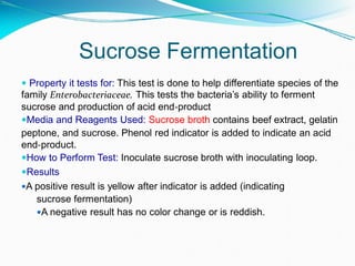 biochemical test .pdf for testing diffrent property | PPT