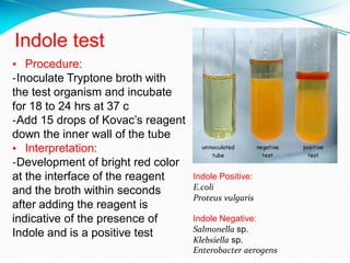 biochemical test .pdf for testing diffrent property | PPT