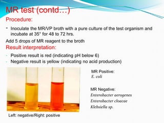 biochemical test .pdf for testing diffrent property | PPT