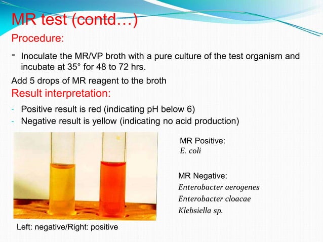 biochemical test .pdf for testing diffrent property | PPT