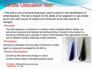 biochemical test .pdf for testing diffrent property | PPT