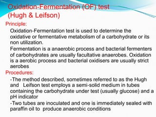 biochemical test .pdf for testing diffrent property | PPT