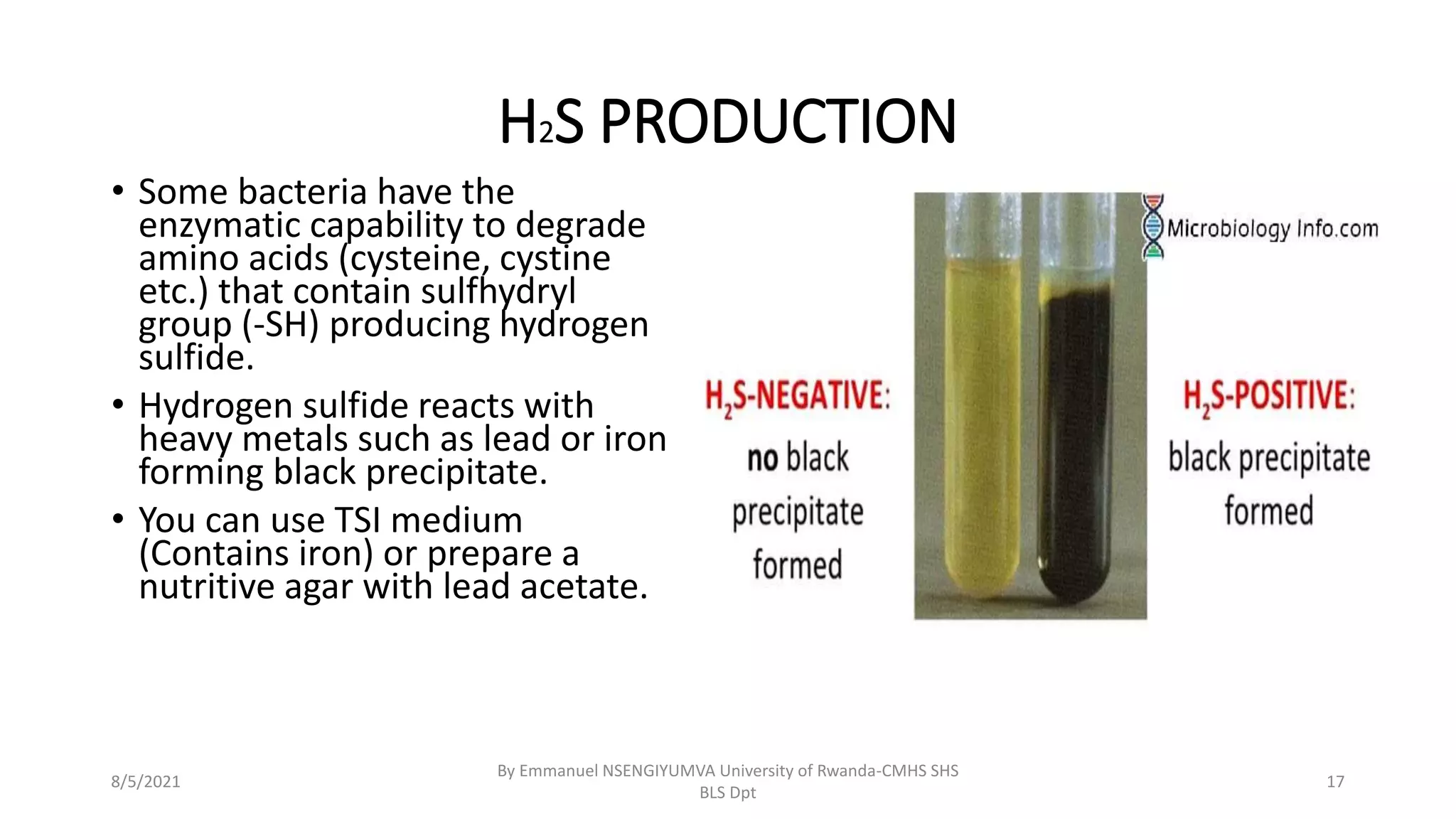 BACTERIA IDENTIFICATION TESTS | PPTX