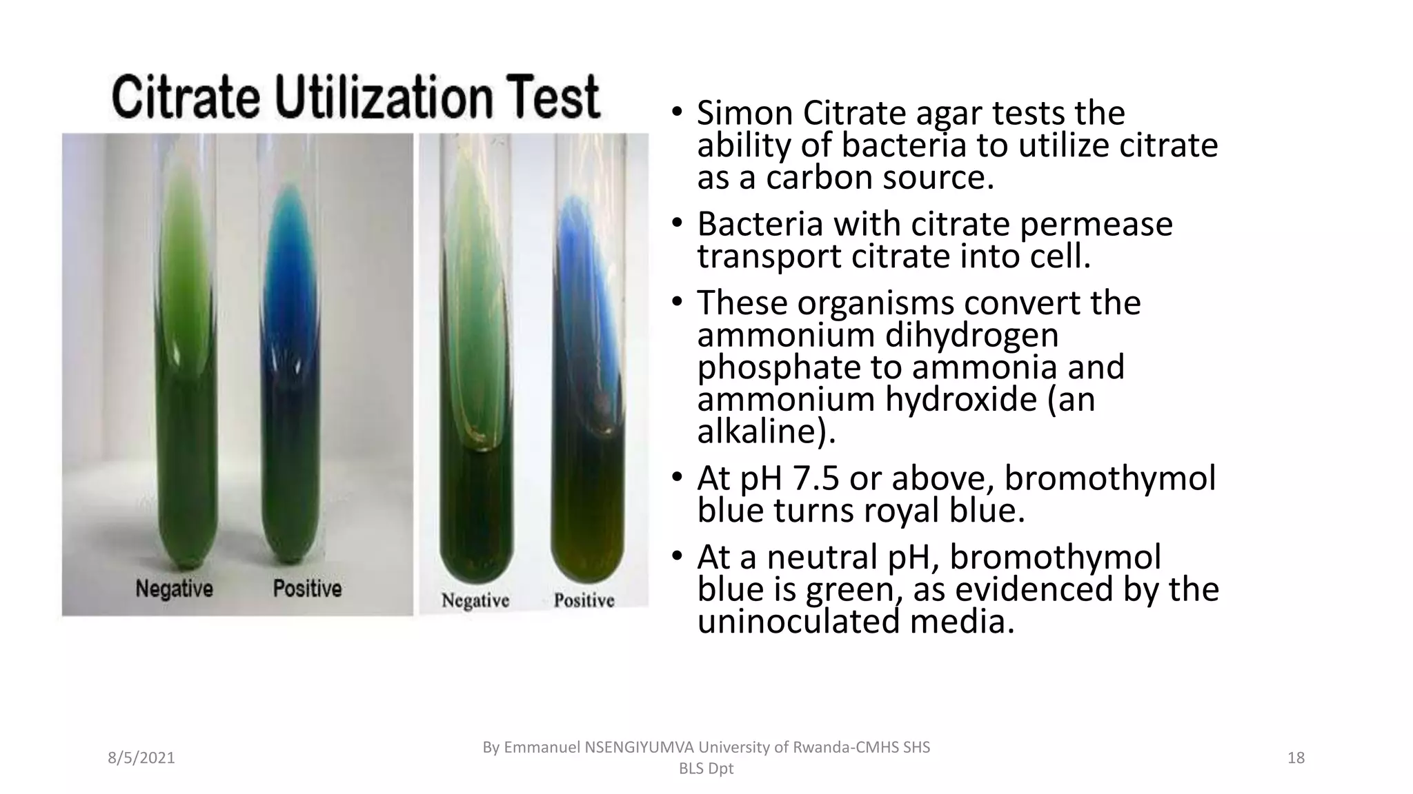 BACTERIA IDENTIFICATION TESTS | PPTX