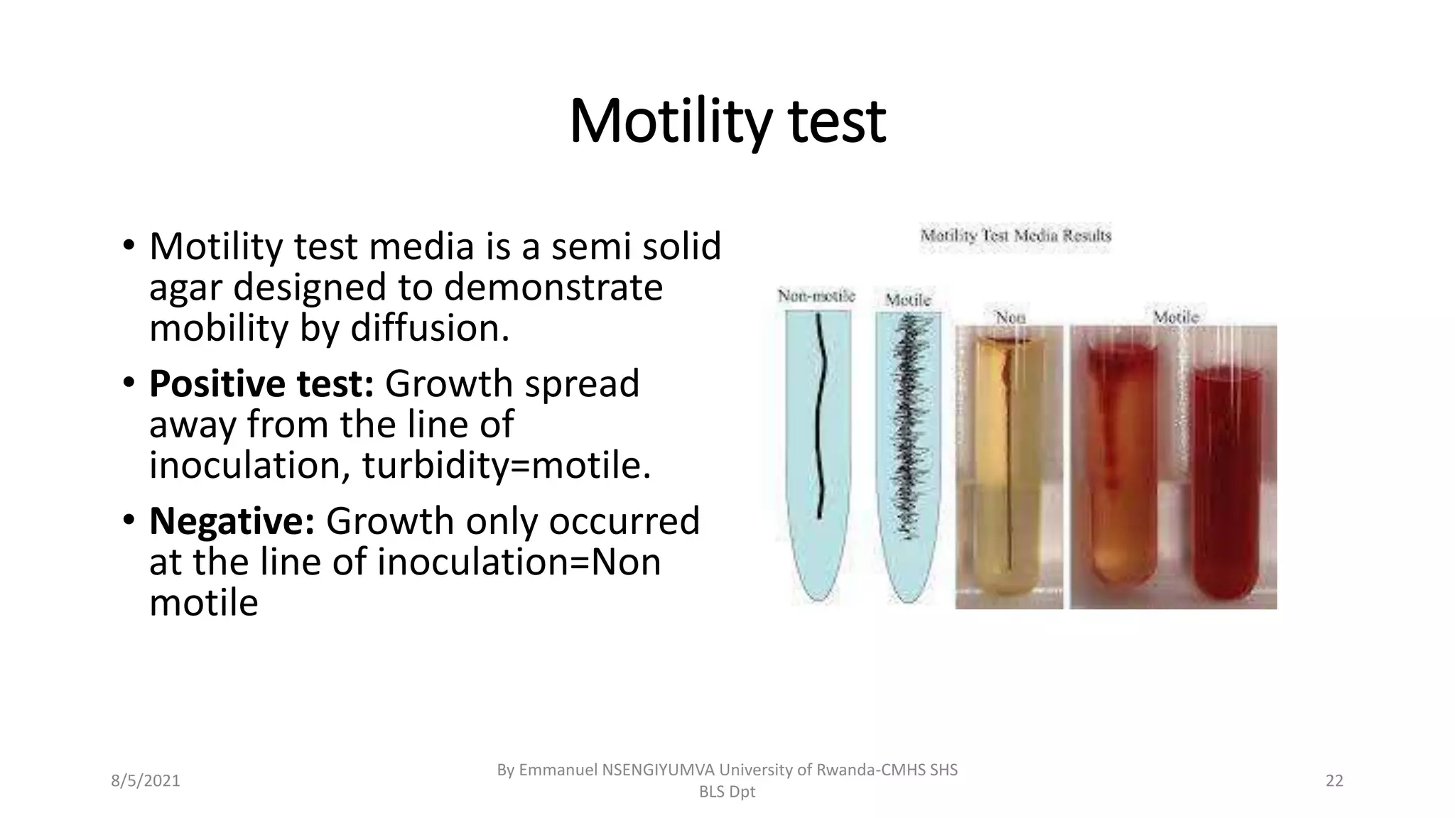 BACTERIA IDENTIFICATION TESTS | PPTX