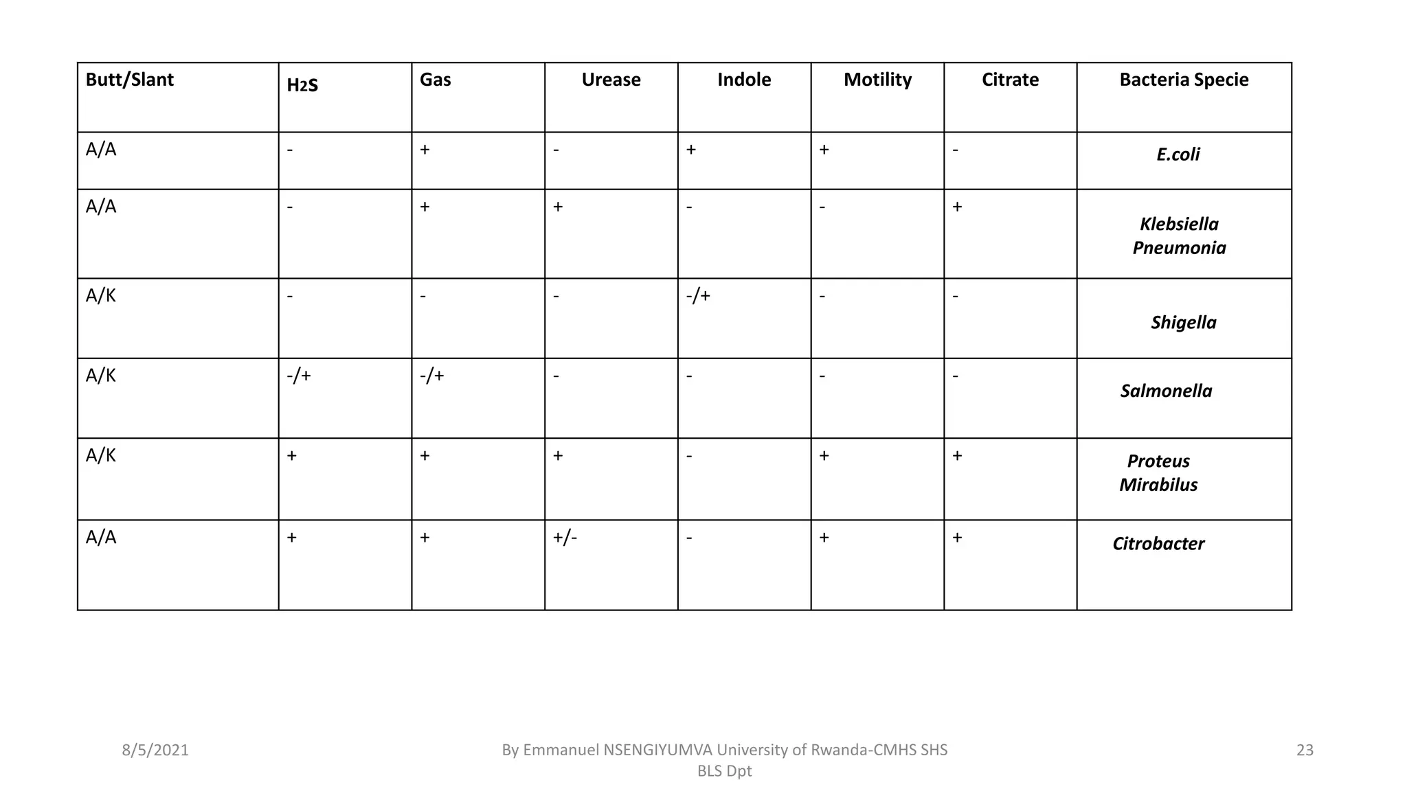 BACTERIA IDENTIFICATION TESTS | PPTX