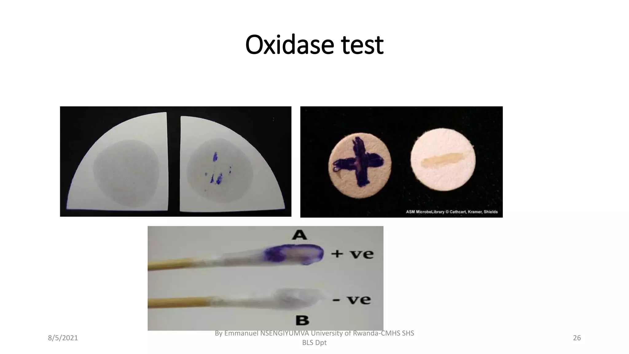 BACTERIA IDENTIFICATION TESTS | PPTX