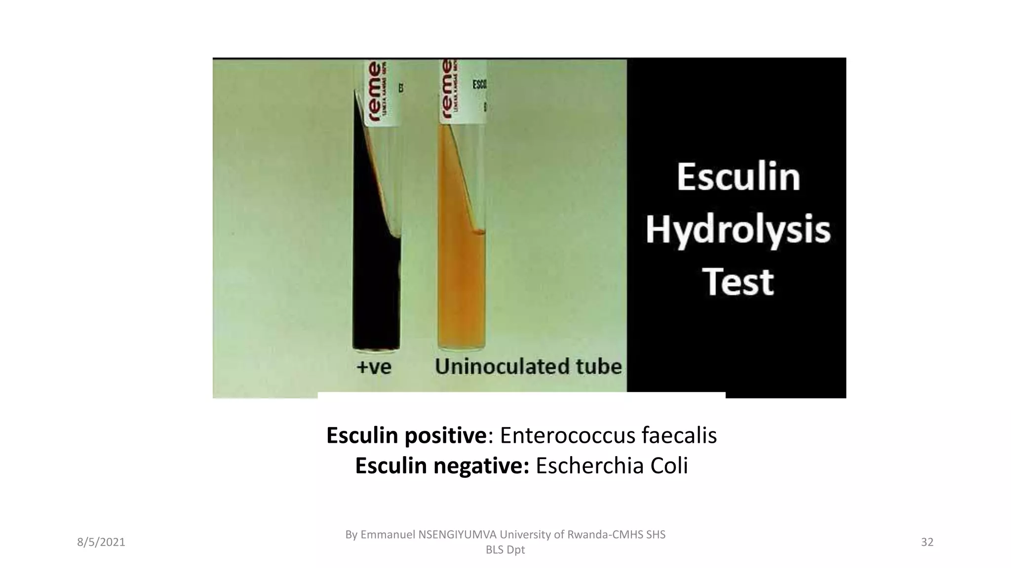 BACTERIA IDENTIFICATION TESTS | PPTX