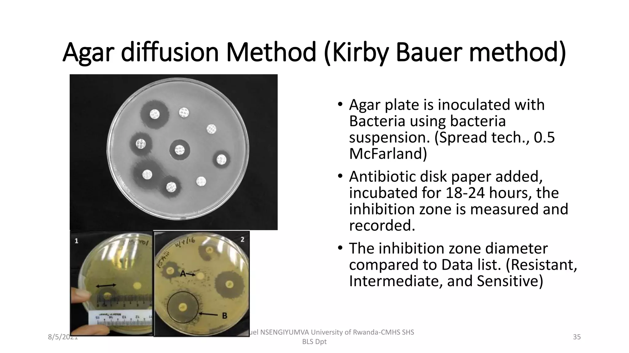 BACTERIA IDENTIFICATION TESTS | PPTX