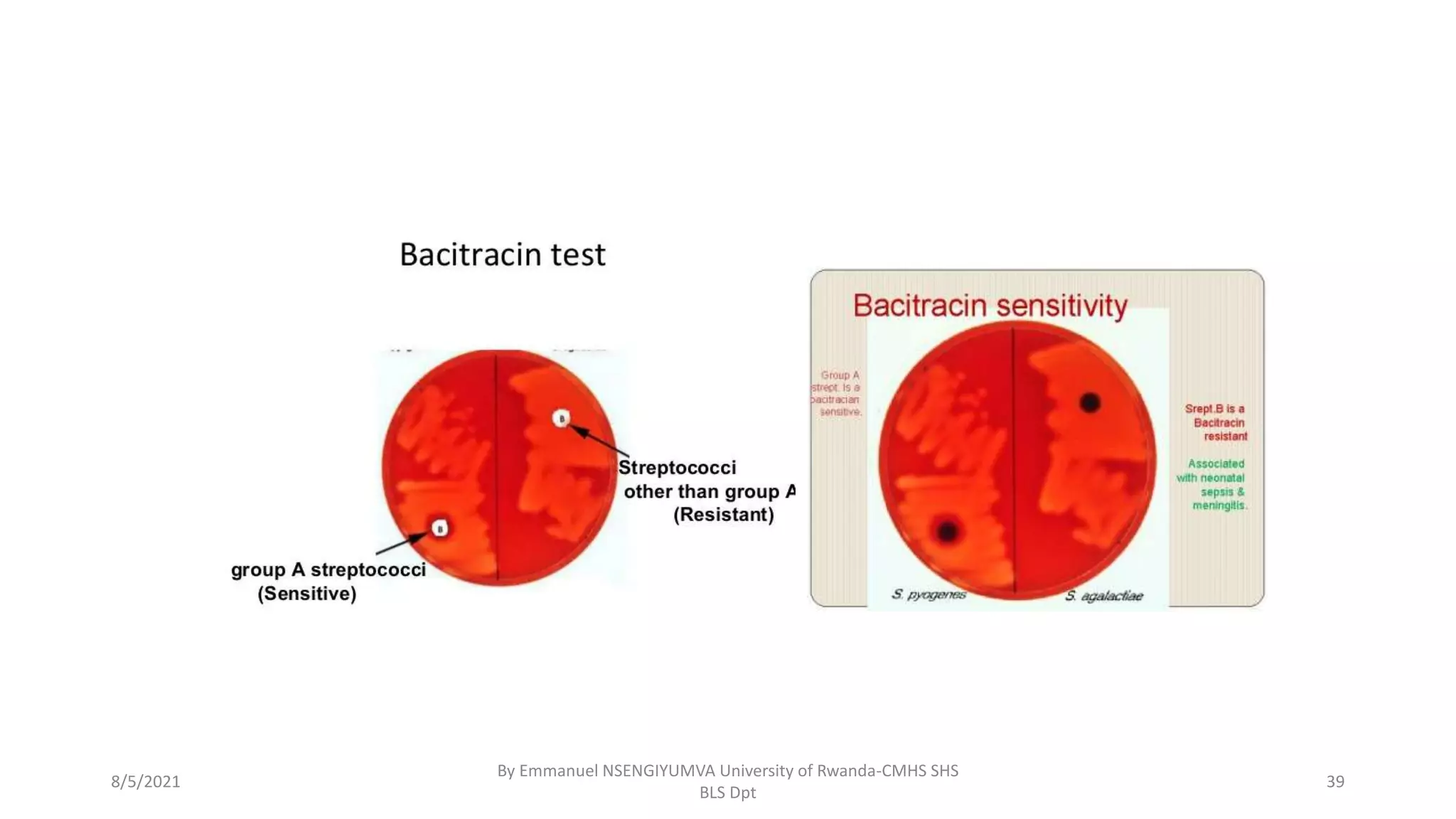 BACTERIA IDENTIFICATION TESTS | PPTX