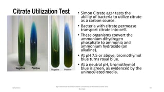 BACTERIA IDENTIFICATION TESTS | PPTX