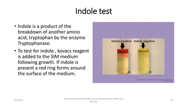 BACTERIA IDENTIFICATION TESTS | PPTX