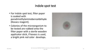 BACTERIA IDENTIFICATION TESTS | PPTX