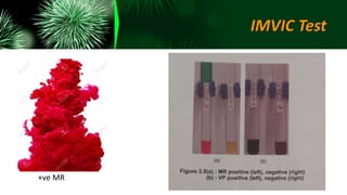 biochemical test for identification of bacteria.pptx