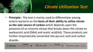 biochemical test for identification of bacteria.pptx