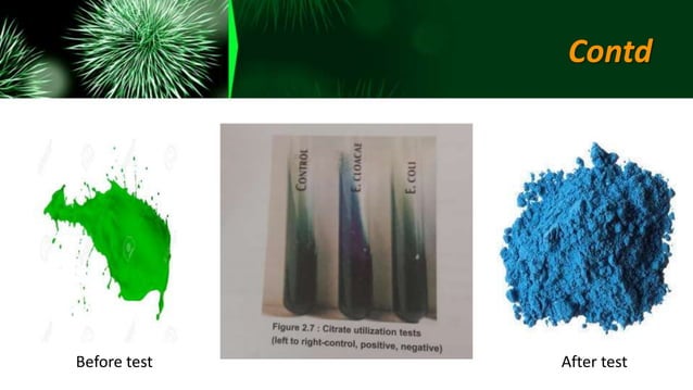 biochemical test for identification of bacteria.pptx