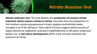 biochemical test for identification of bacteria.pptx