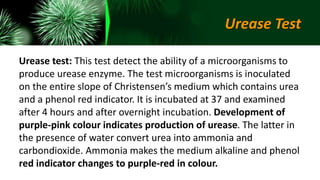 biochemical test for identification of bacteria.pptx