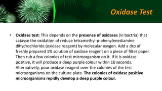 biochemical test for identification of bacteria.pptx