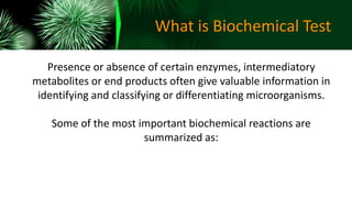 biochemical test for identification of bacteria.pptx
