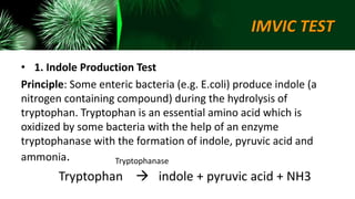 biochemical test for identification of bacteria.pptx